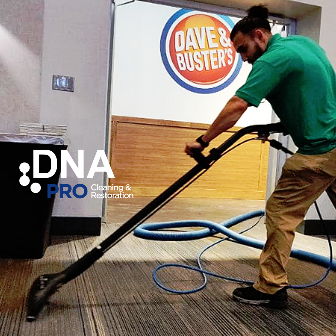 Why Clean Carpets Matter – DNA Pro is Voda Cleaning & Restoration