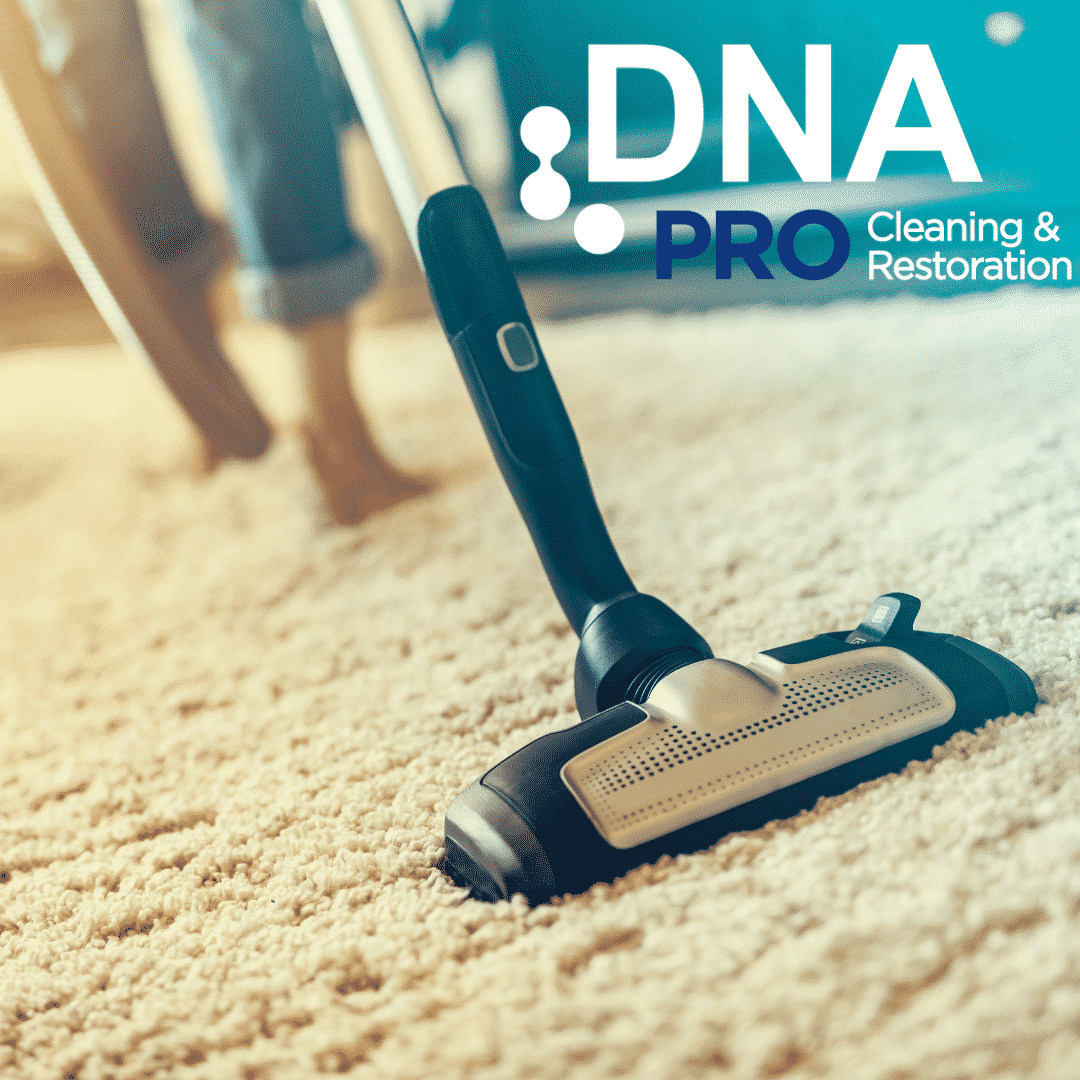 How to Prolong the Life of Your Carpet – DNA Pro is Voda Cleaning ...