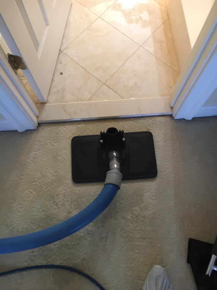 Pro Carpet Cleaning | DNA Pro is Voda Cleaning & Restoration